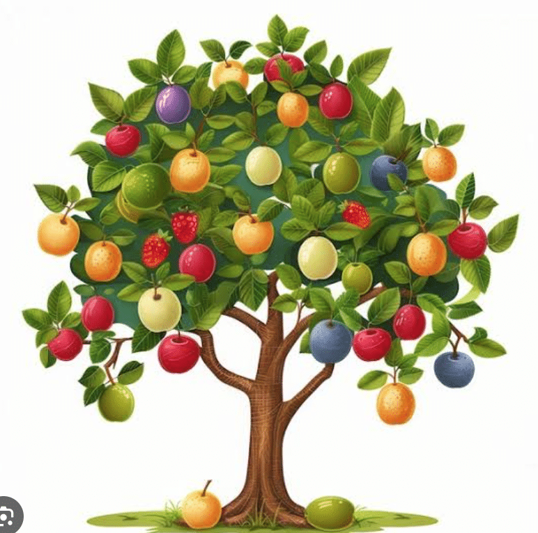 Pourquoi les arbres fruitiers donnent-ils encore des fruits ? - L ...