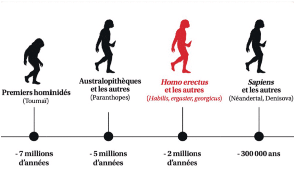 Qui était le premier humain ? - L'Humanologue, le blog